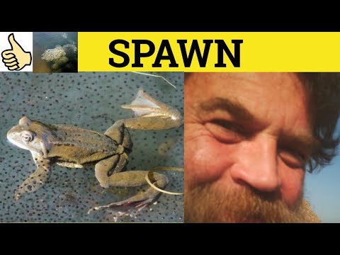 🔵 Spawn Meaning - Spawn Examples - Spawn Defined - Spawn - C2 English Vocabulary