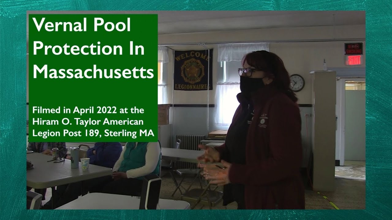 Vernal Pool Protection in Massachusetts