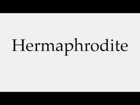 How to Pronounce Hermaphrodite
