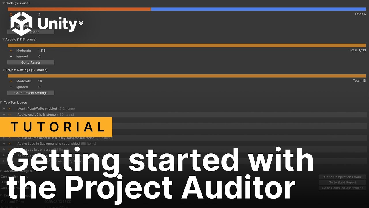 Getting started with the Project Auditor