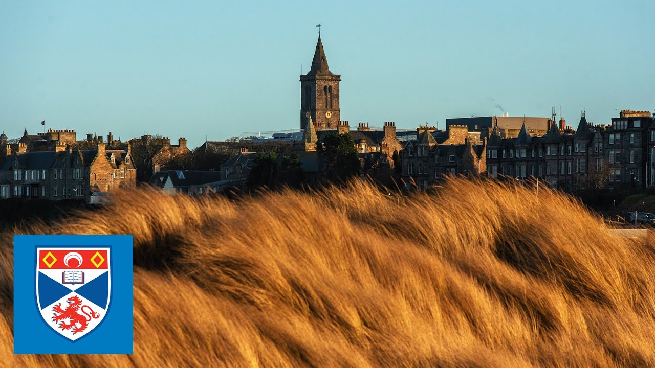 Look to Nature - The Power of Nature-Based Solutions to Tackle Climate Change