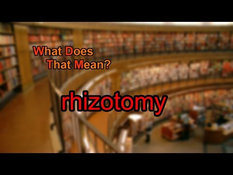What does rhizotomy mean?