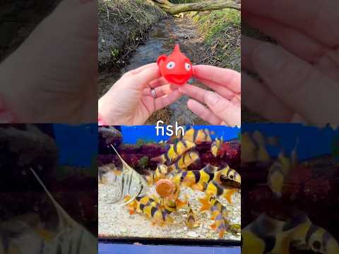 Learn Sea Animal Names at the Stream for Kids: Polar Bear Dolphin Seal Whale Shark Fish