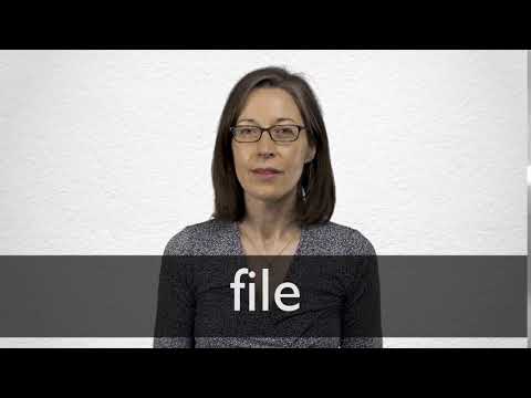 FILE definition in American English | Collins English Dictionary