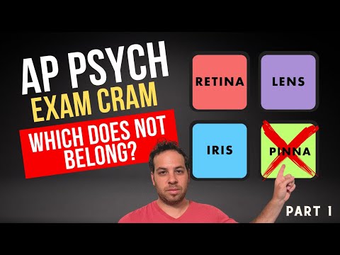 AP Psychology Exam Cram Review: Which Does Not Belong? (Part 1)