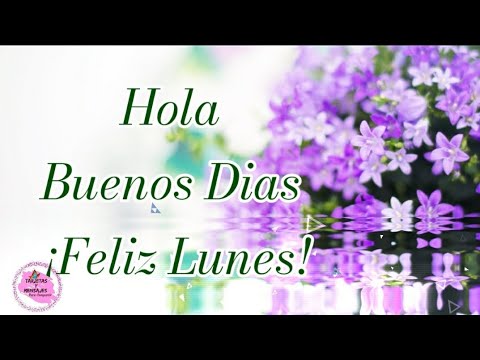Mensaje de buenos dias para ti feliz lunes imagenes bonitas