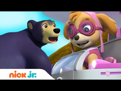PAW Patrol - Stops Wild Bear - There…: English ESL video lessons