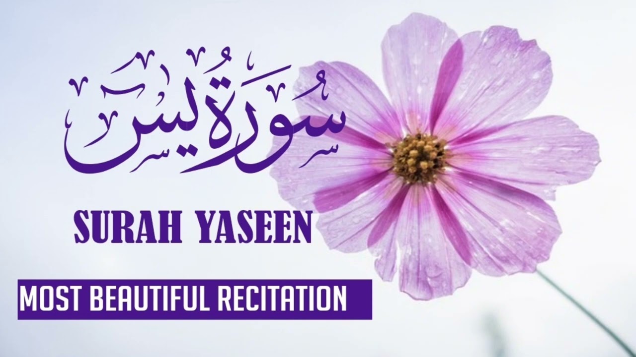 Surah Yaseen Yasin Full With Arabic Arabic Text 36 Surah Yasin Most
