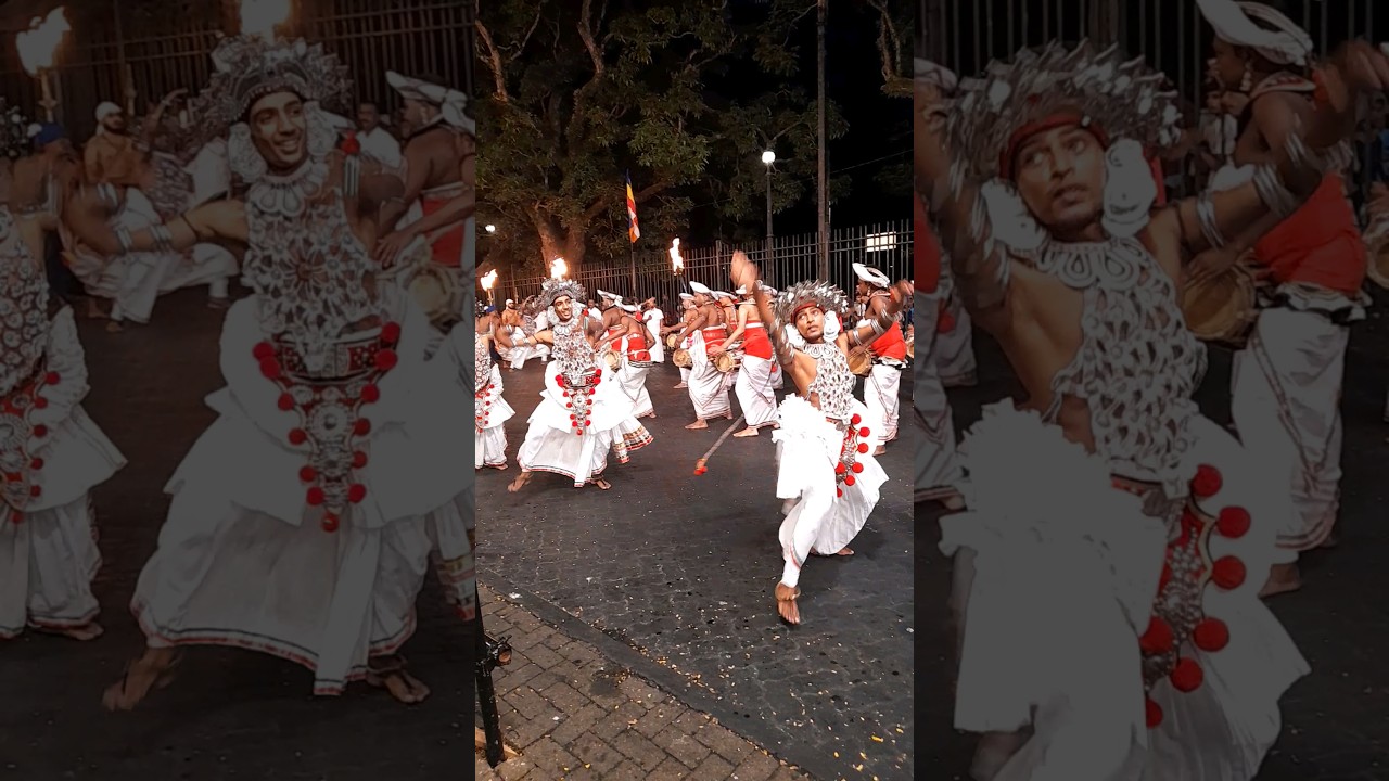 kandy esala perahera 2024| එයාලගේ වේගේ කොහොමද #shorts #kandyesalaperahera #dance