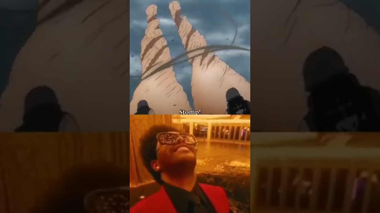 Robin Stomp