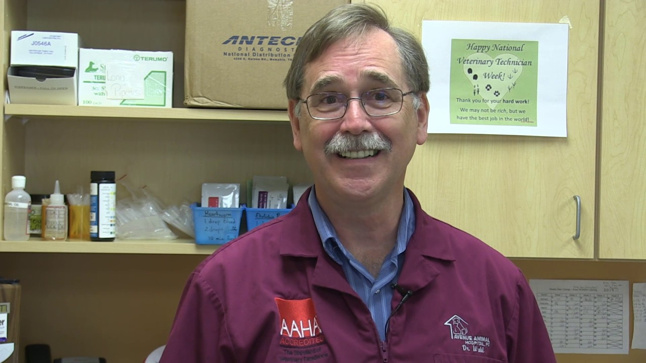 Veterinary Passion: Preparing Clients for the Future