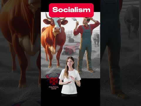 Socialism as a form of government. Defined using cows 🐄🐄 #satire #politics #election