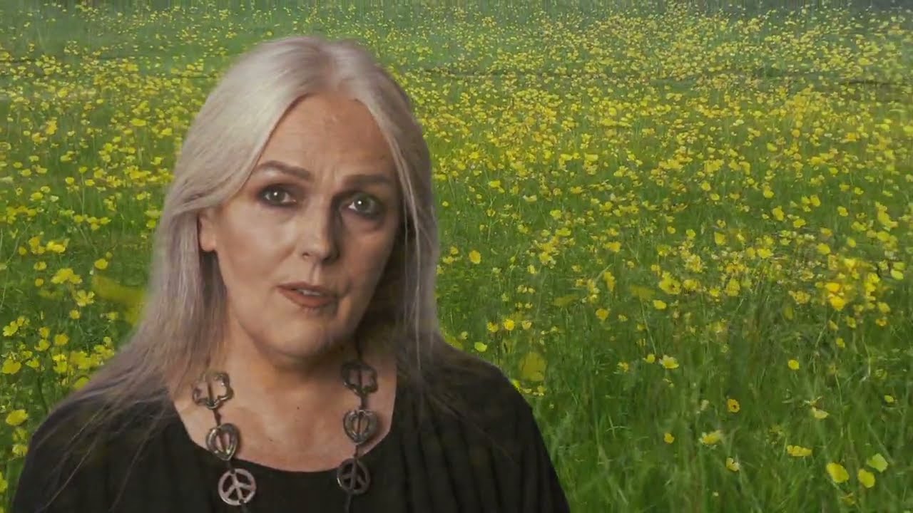 Elin Brimheim Heinesen - Buttercups Light Up the Meadows (Sóleyan lýsir um fløtur - English version)