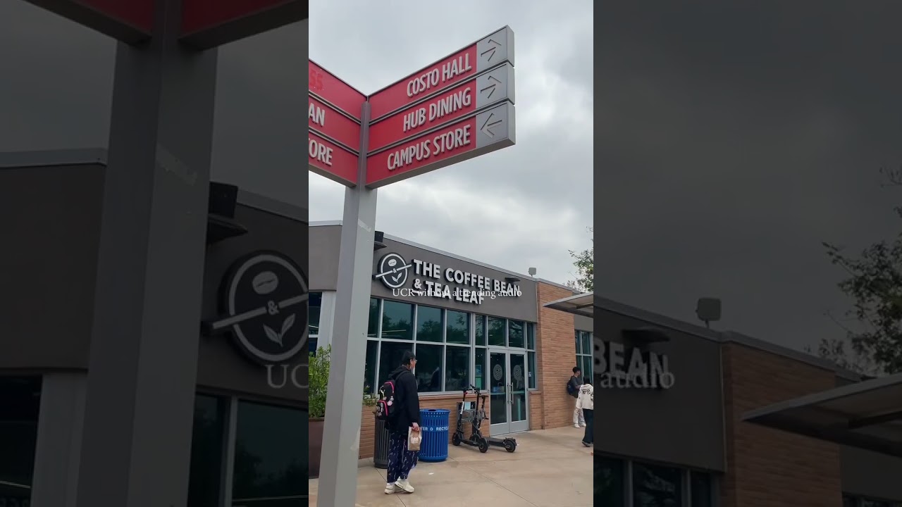 Life without a trending audio