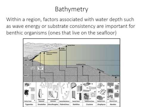 Environmental preferences of marine organisms