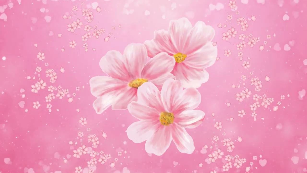 1 Hour Pink Flower Aesthetic Wallpaper 🌸 | Relaxing Screen Ambience (No Music)