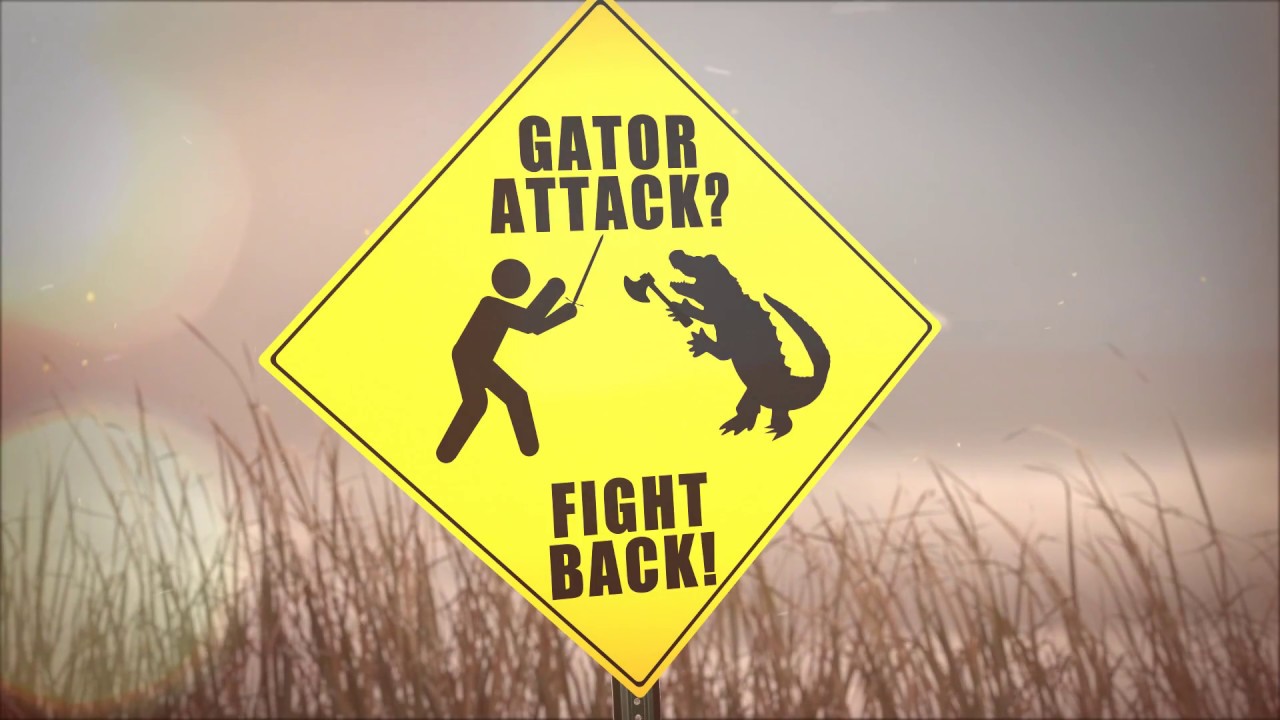 Gator Attack Fight Back!