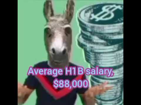 H1B salary #desiamericanprofessor #india #h1b #singhinusa #utarlington #yudij #ymgrad