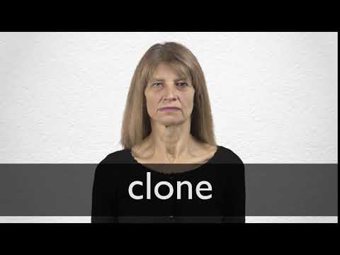 CLONE definition and meaning | Collins English Dictionary