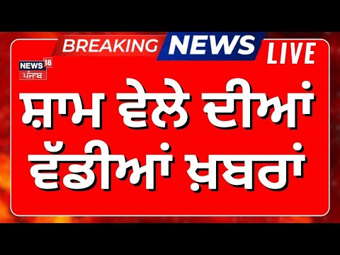 Evening News | ਸ਼ਾਮ ਦੀਆਂ ਵੱਡੀਆਂ ਤੇ ਤਾਜ਼ਾ ਖ਼ਬਰਾਂ | Today Punjabi News | Ludhiana By Election EXIT Poll