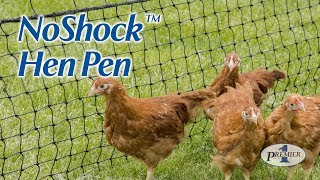 NoShock™ Hen Pen - Premier1Supplies