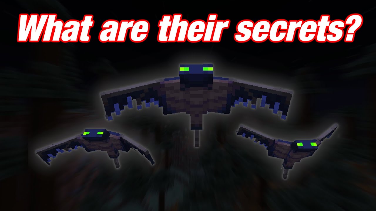 The Nightmare of the Phantoms | Minecraft Deep Dive