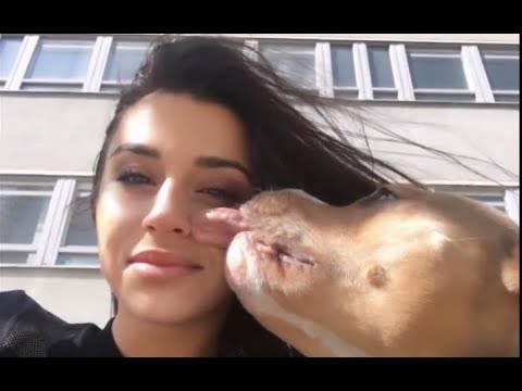 Tania Gómez: la "capo de la mafia" de 33 años que se escondía en Tías ...