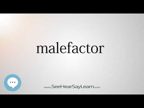 malefactor 5,000 SAT Test Words and Definitions Series 🔊