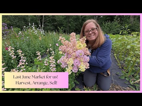 Last Farmers Market of June π Harvesting, Bouquet Making & Selling Flowers!