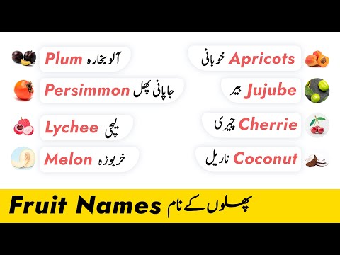 Fruit Names | English Vocabulary in Urdu Hindi