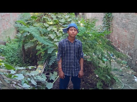#forst me kese#funny comedy subscribe and like ???? video subscribe#sabji #viral