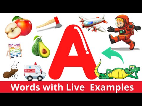 Words that Start with the Letter 'A' | Letter A Learn with live Examples | alphabet |toppo kids