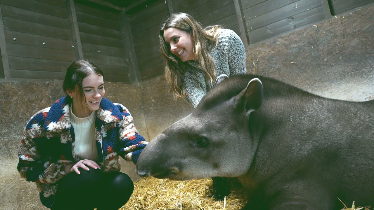 Experience animal encounters at Reaseheath Mini Zoo