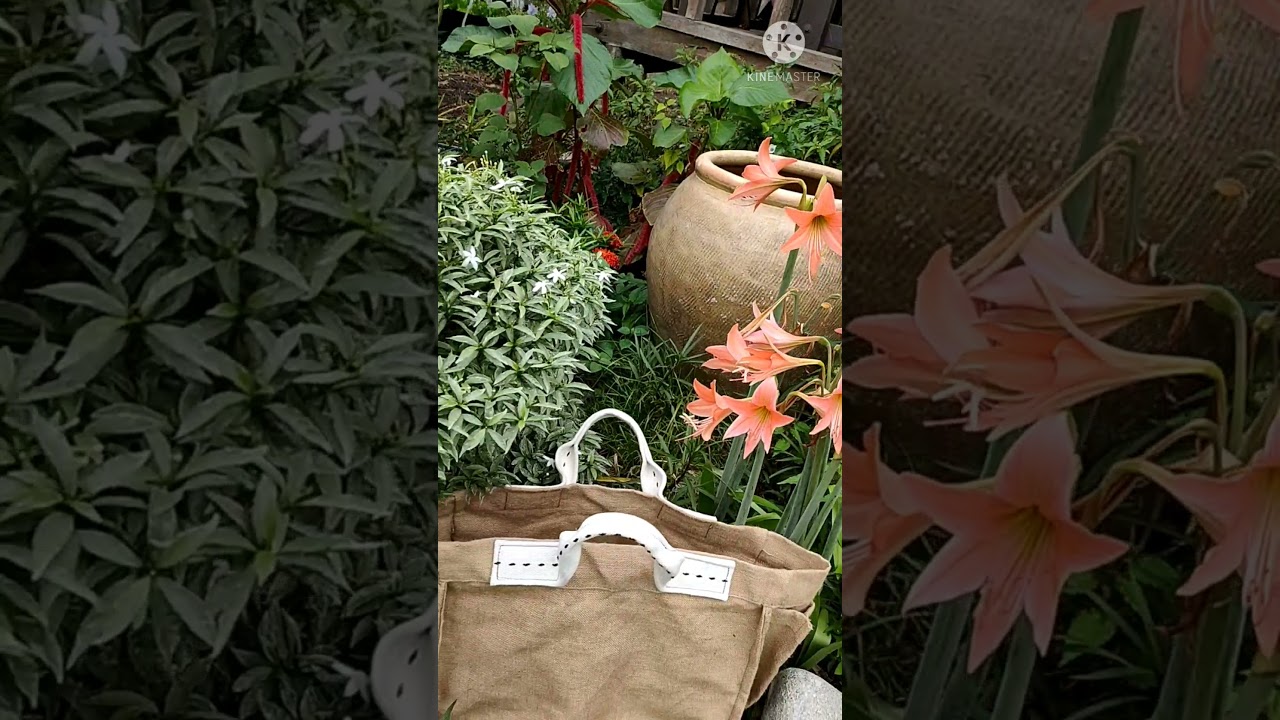 Jute Bag Design Ideas| How to Make Reusable Grocery Bag # Shorts