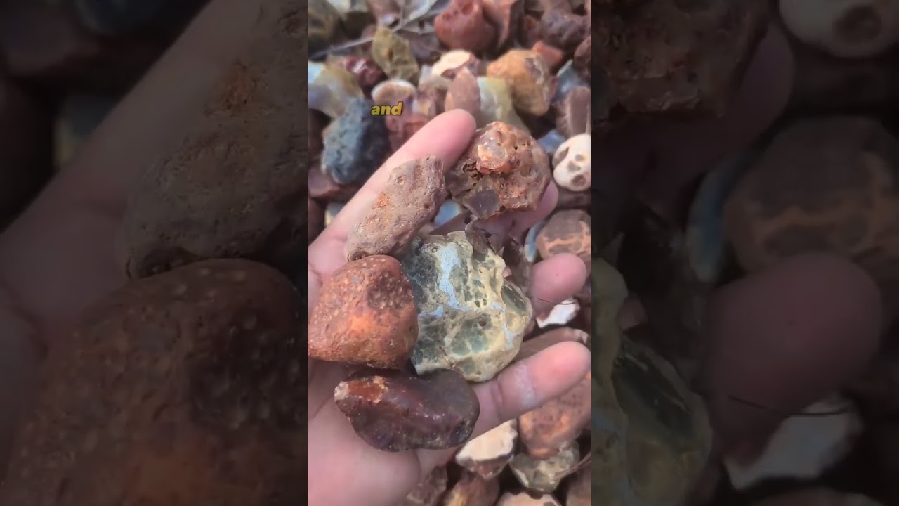 Raw Carnelian Crystals Revealed in Gem Mining Bucket!