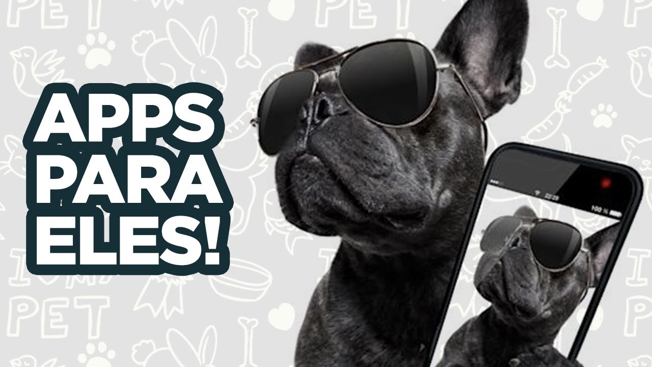 Cinco aplicativos para quem tem cachorro em casa! – Grupo Publique