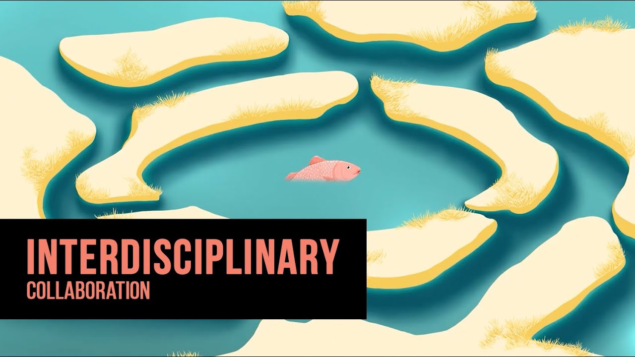 Interdisciplinary collaboration in ECI