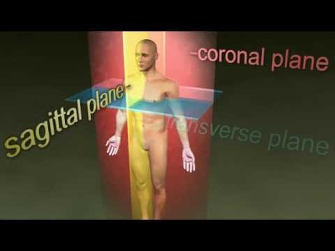 Video Voiceover of medical terminology