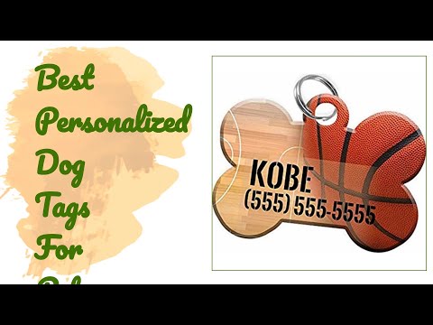 🌵7 Best Personalized Dog Tags For Pets 2020