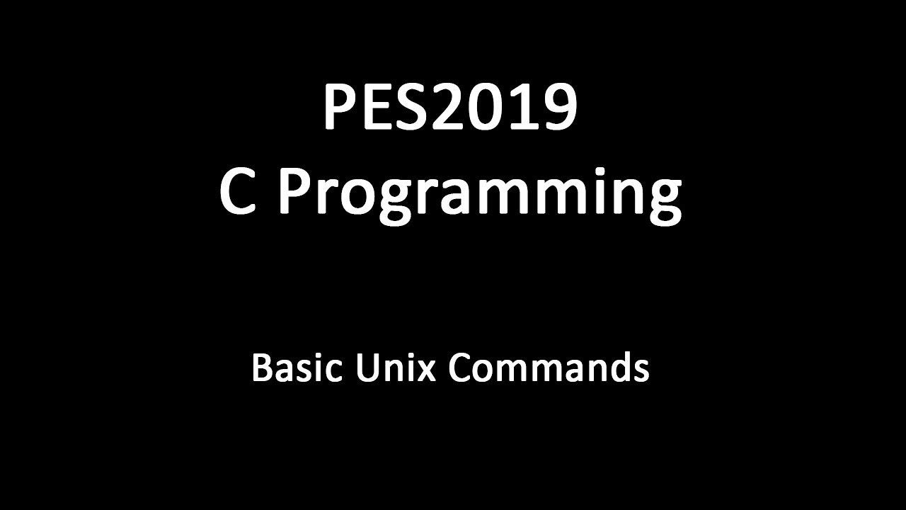 C Programming - Preliminary Lab - Basic Unix Commands