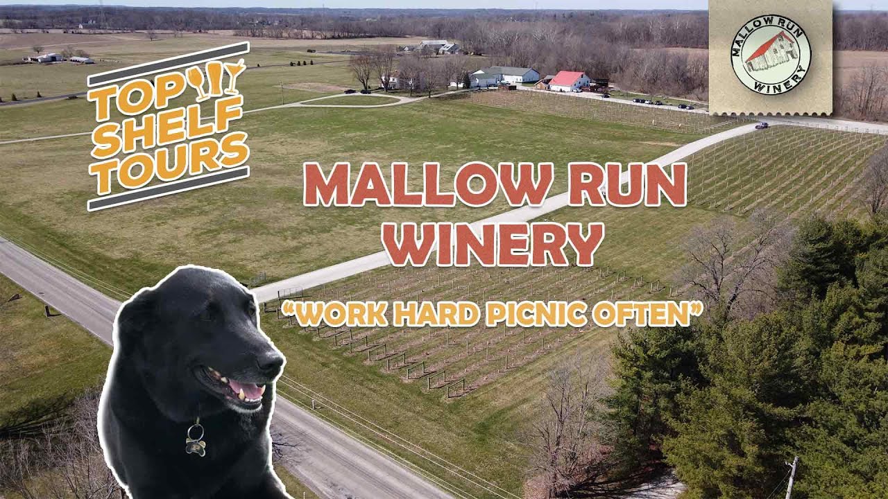 Rhubarb Wine Tasting At Mallow Run With Top Shelf Tours
