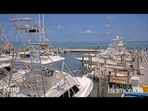 Islamorada Charter Boats Live WebCam - Islamorada Florida Keys