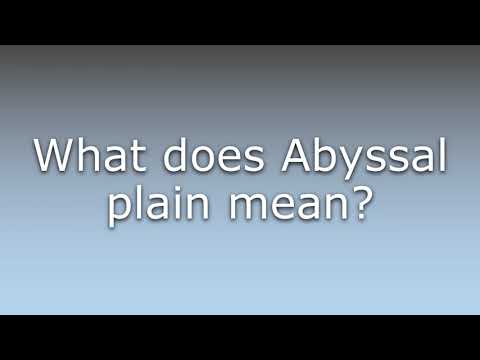 What does Abyssal plain mean?