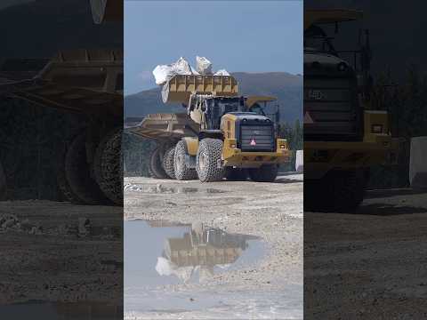 CAT 980 Hauls and Dumps Massive Rocks into CAT 770! #loader #dumptruck #caterpillar