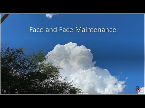 Face and Face Maintenance