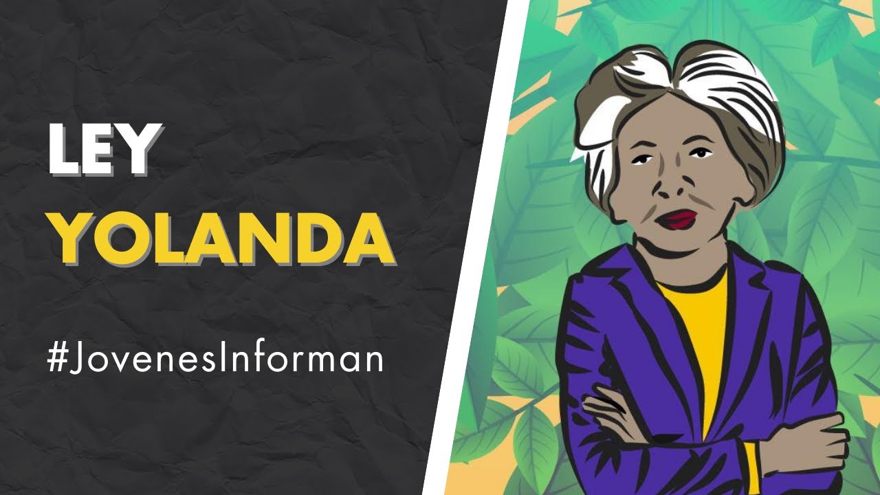 Ley Yolanda | Jóvenes Informan