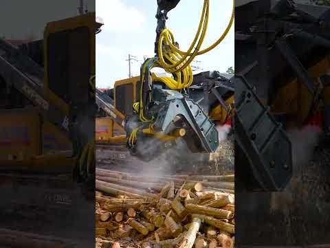 Saw test#forestry equipment#machinery #logging #tree cutting machine