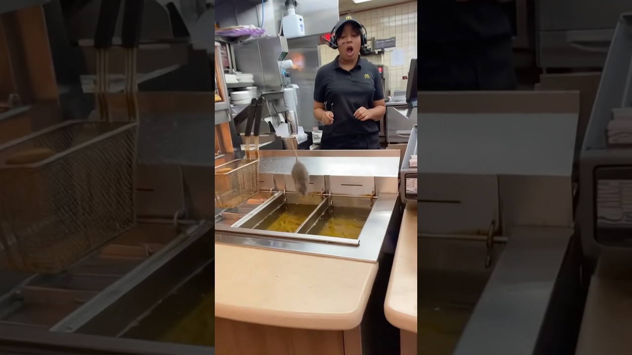 Rat Jumps in Fryer 😭🐀🍗 #rat