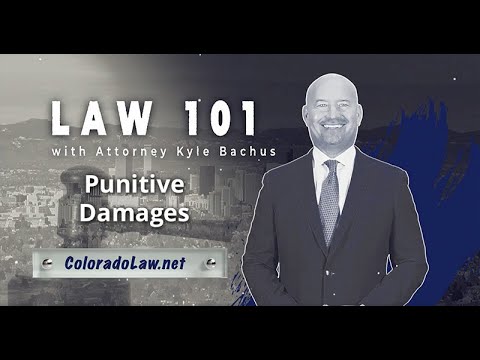Punitive Damages - Law 101 - Bachus & Schanker
