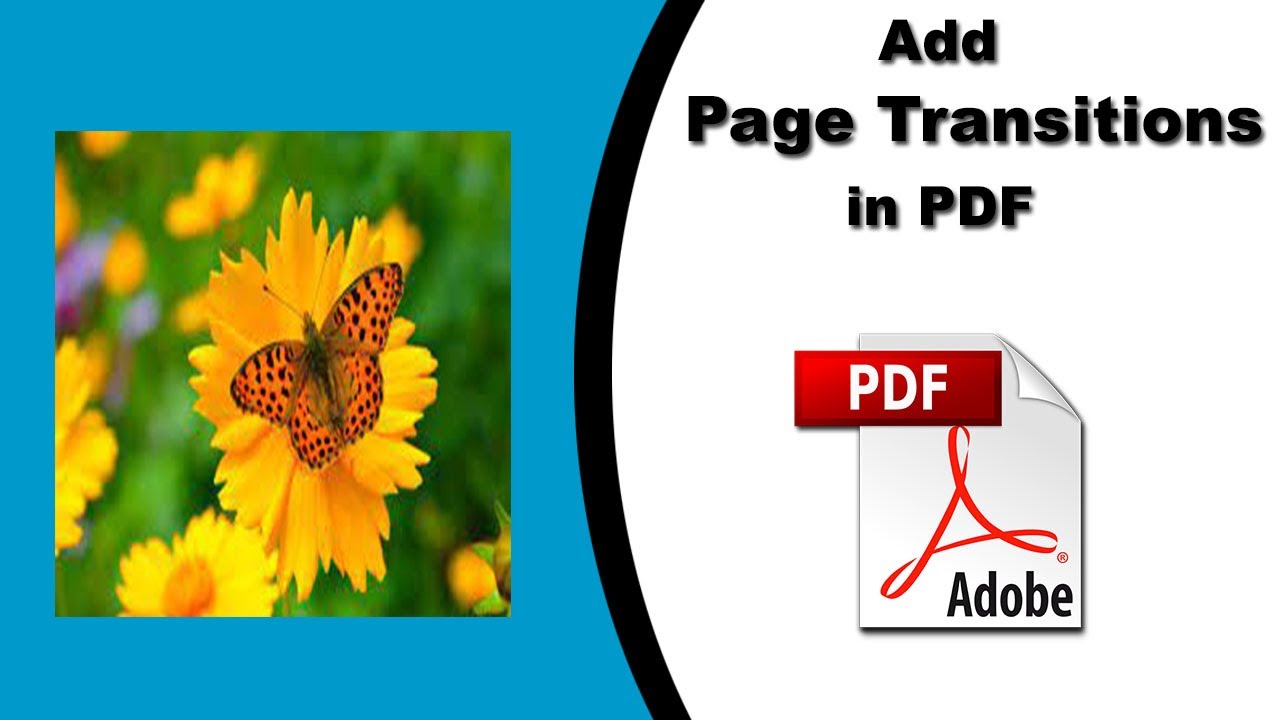 How to Add Page Transitions in PDF with Adobe Acrobat Pro 2020